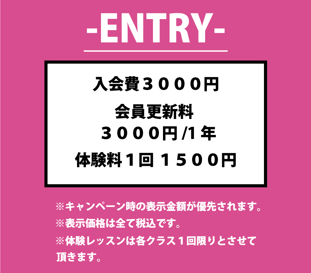 システム THE PINK DANCERS STUDIO